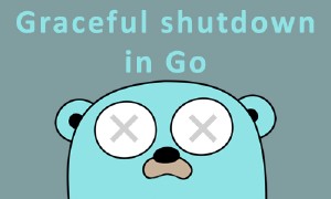 Implementing Graceful Shutdown Mechanism in Go Application